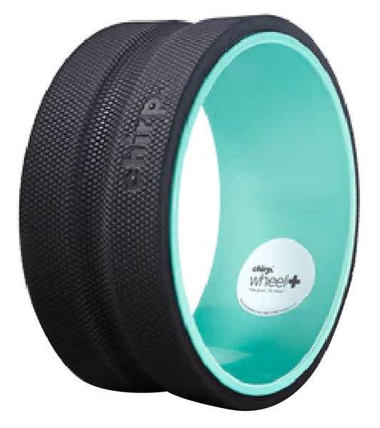 Chirp 10" Chirp Wheel at EverydayYoga.com - Free Shipping